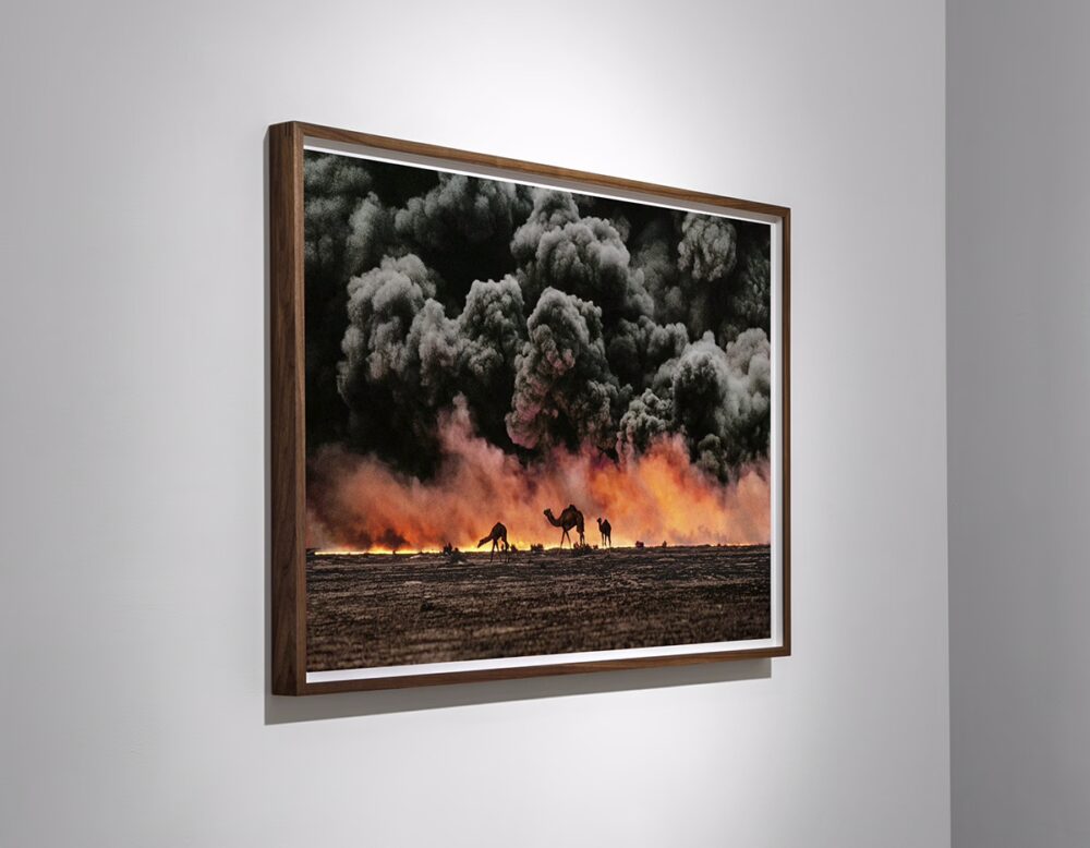 Steve McCurry: Camels And Oil Fields | SOL . LDN