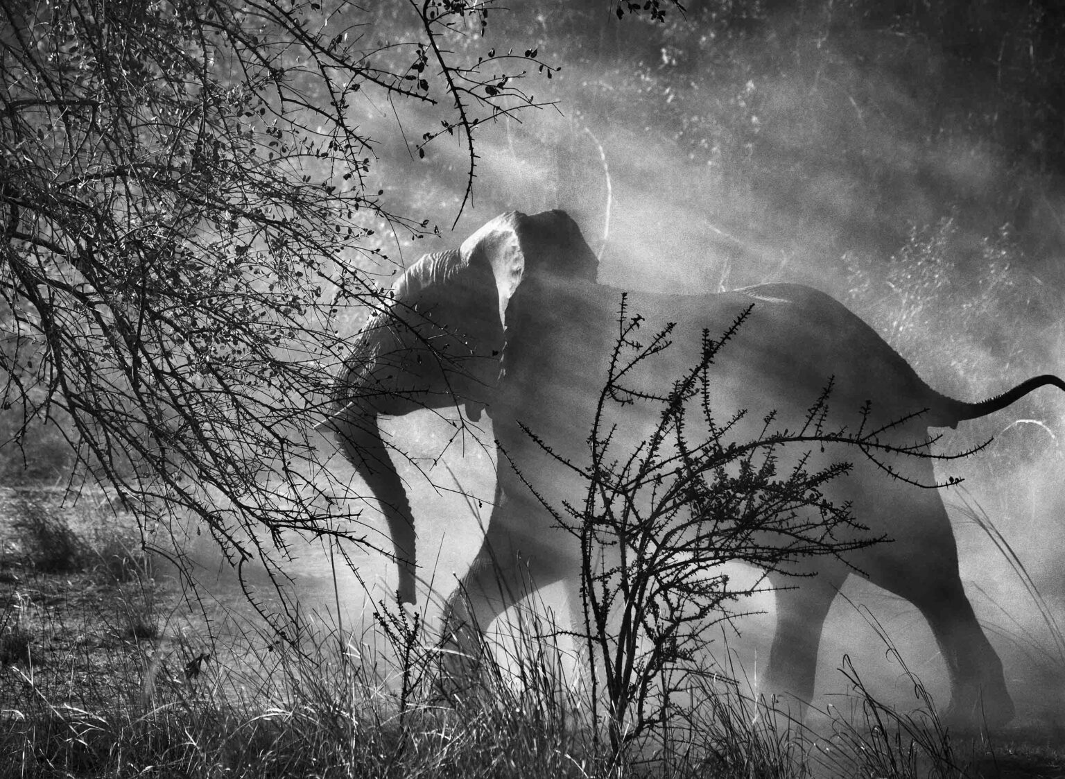 Sebastião Salgado Serra Pelada, Brazil | Journals | SOL . LDN