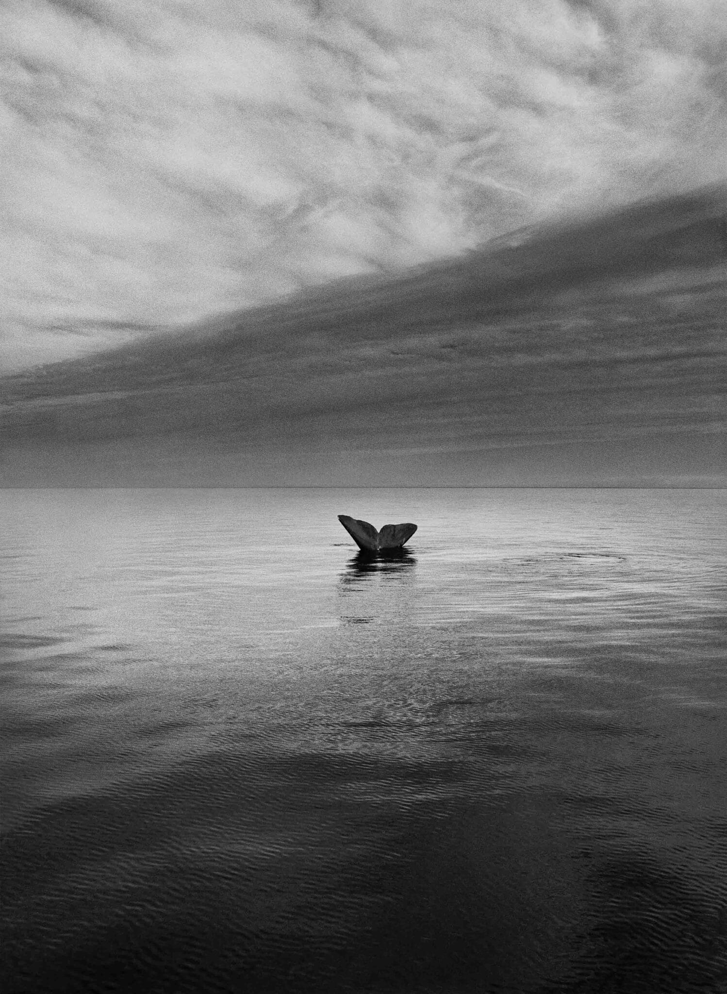 Sebastião Salgado Prints For Sale | SOL . LDN