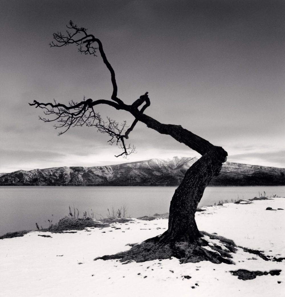 Passing Time: Seven Years of Michael Kenna's Kussharo Lake Tree | Journals | SOL . LDN