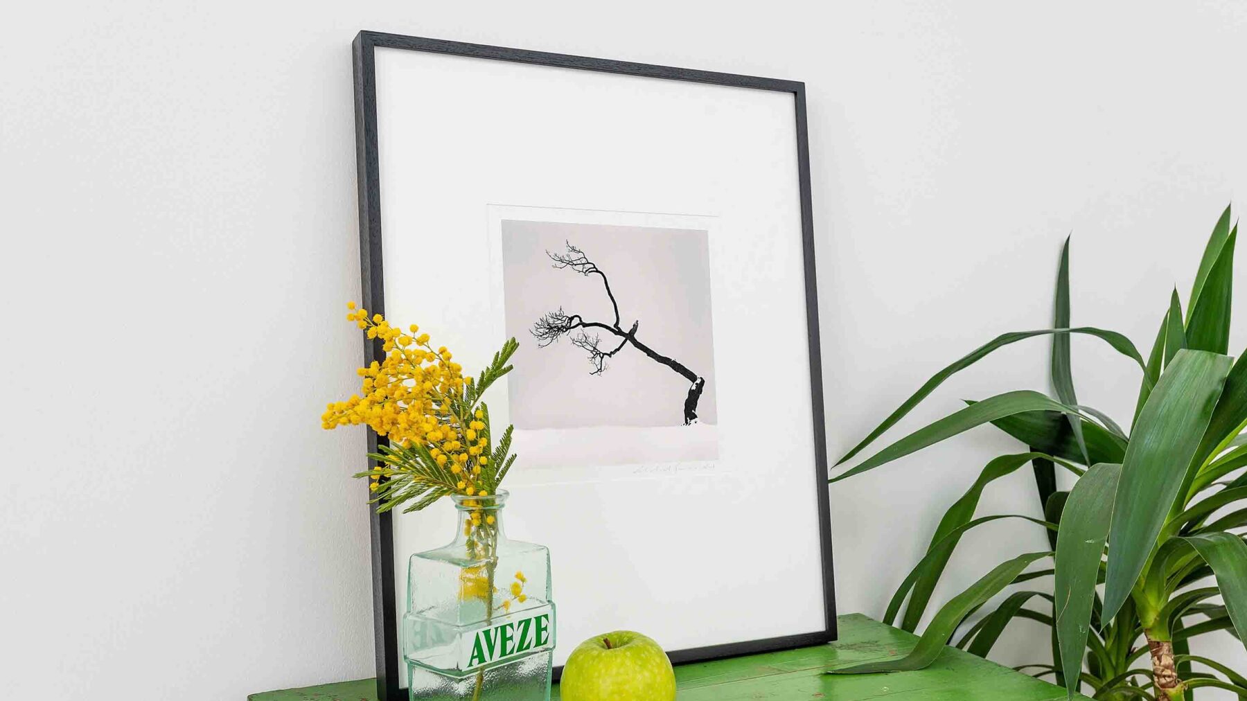 Home: Buy Artwork & Prints | View Exhibitions | SOL . LDN