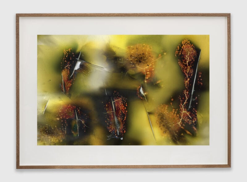 Lean Lui: Lightning Fire | SOL . LDN