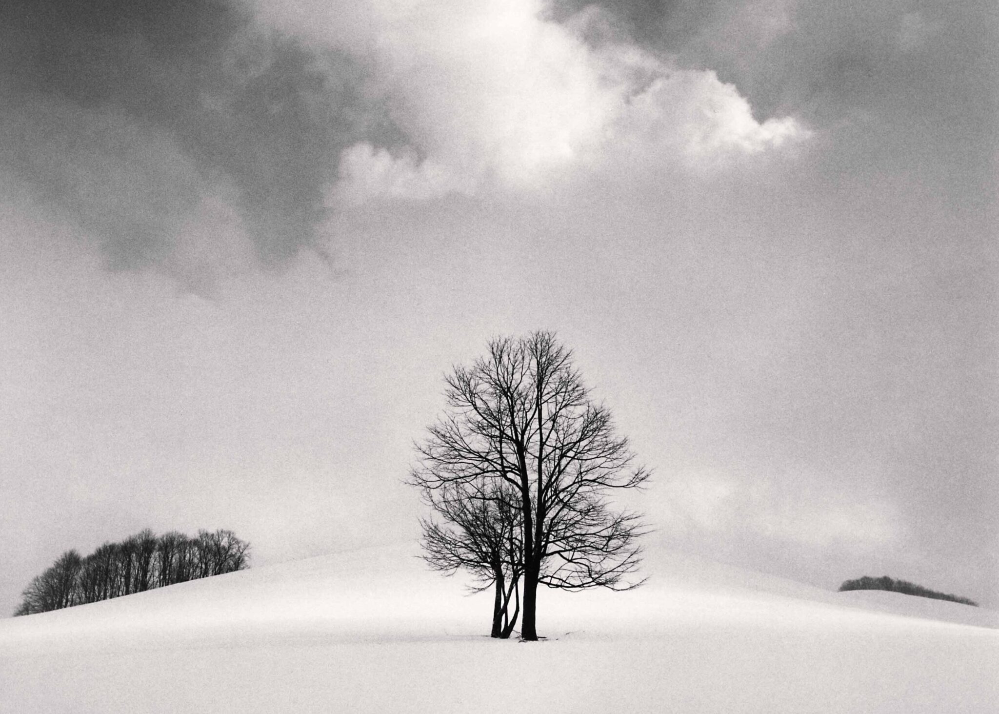 Michael Kenna: New Works From Japan | Exhibitions | SOL . LDN