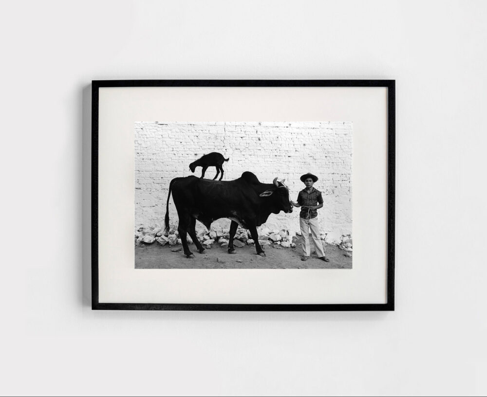 Flor Garduño: Totem, México | SOL . LDN