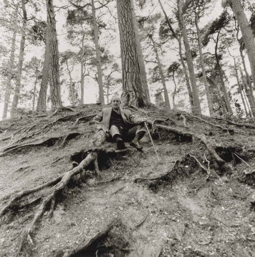 Snowdon: J.R.R. Tolkien | SOL . LDN